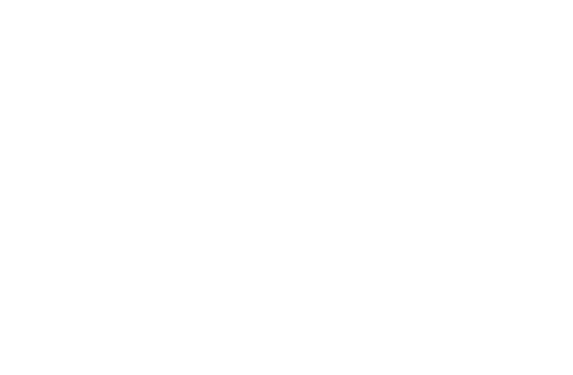 Vicki Joy Anderson – AUTHOR AND PUBLIC SPEAKER